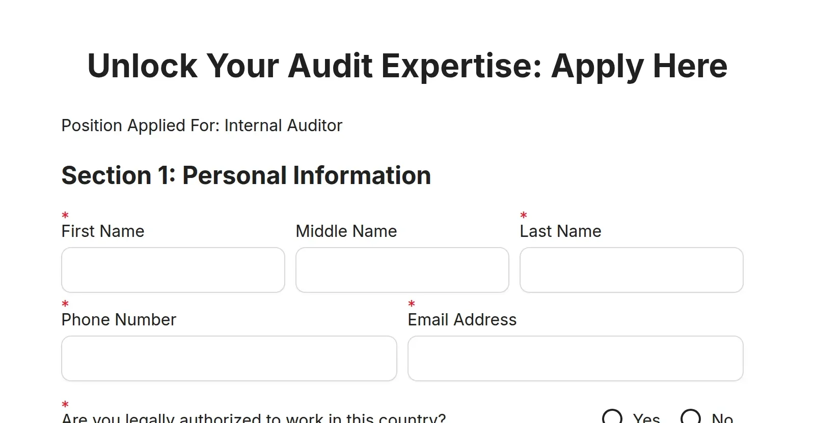Internal Auditor Job Application Form